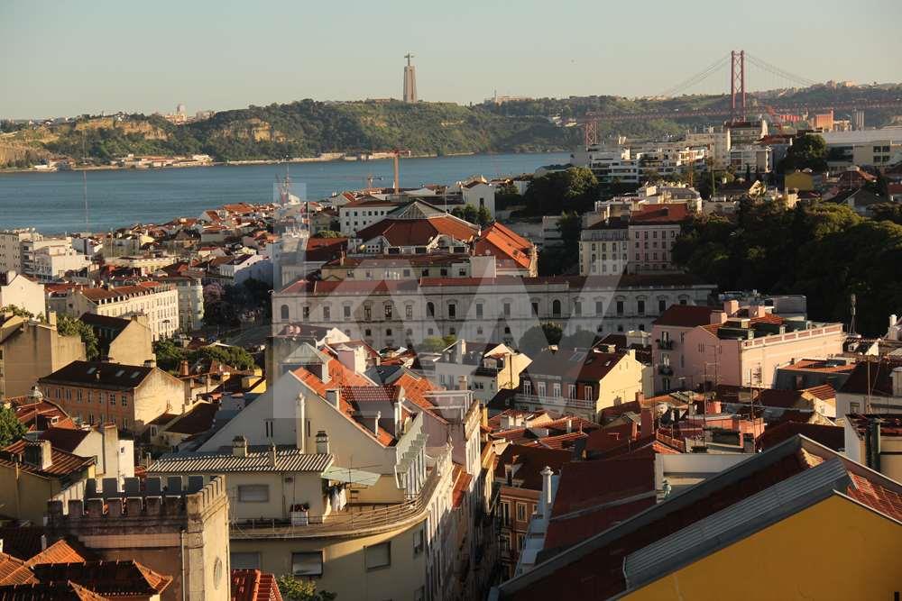 T4 entre o Largo do Rato e o Príncipe Real