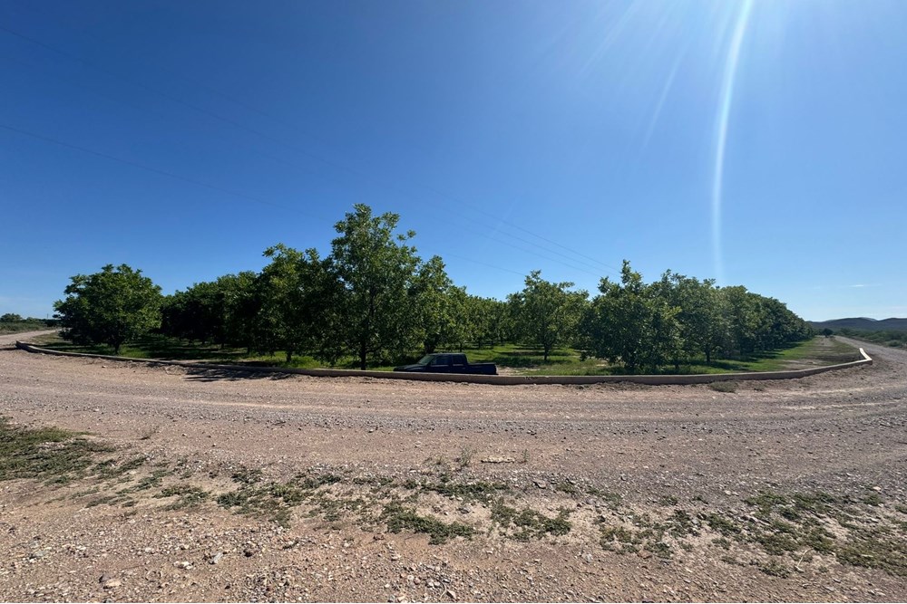 𝐇𝐔𝐄𝐑𝐓𝐀 𝐃𝐄 𝐍𝐔𝐄𝐙 𝐄𝐍 𝐕𝐄𝐍𝐓𝐀 Ciudad Juárez México