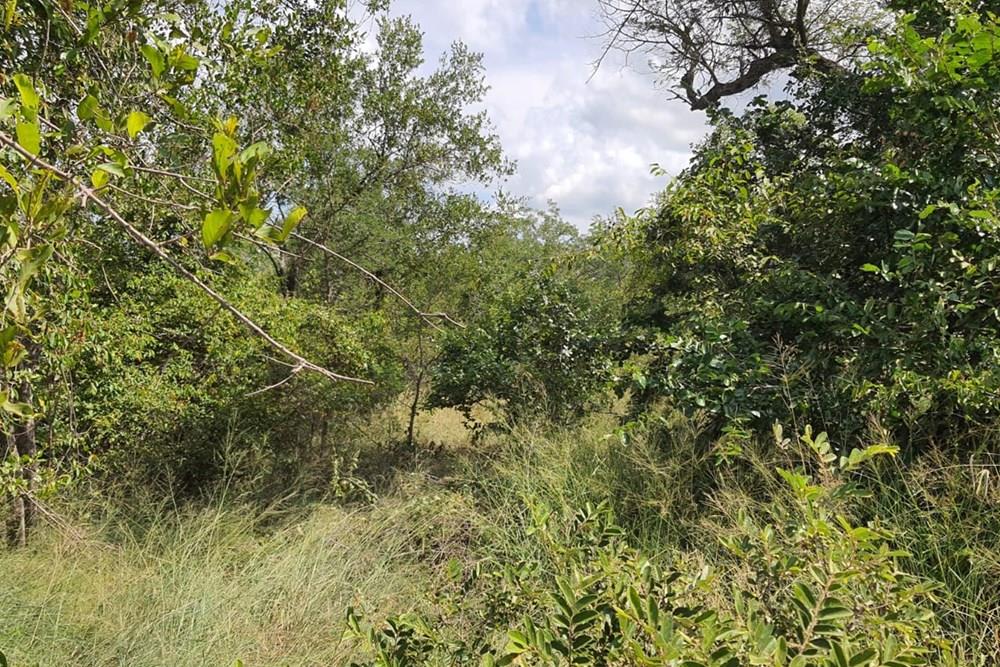 Plot in Big 5 Game Estate with Scenic Views